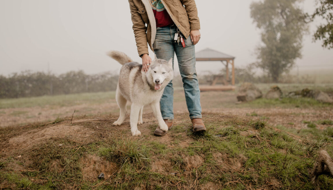 Gallery – Nature's Acres Kennel